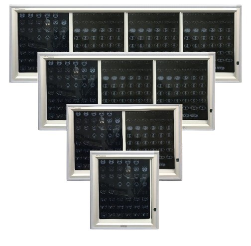 LED X-Ray View Box - Biox